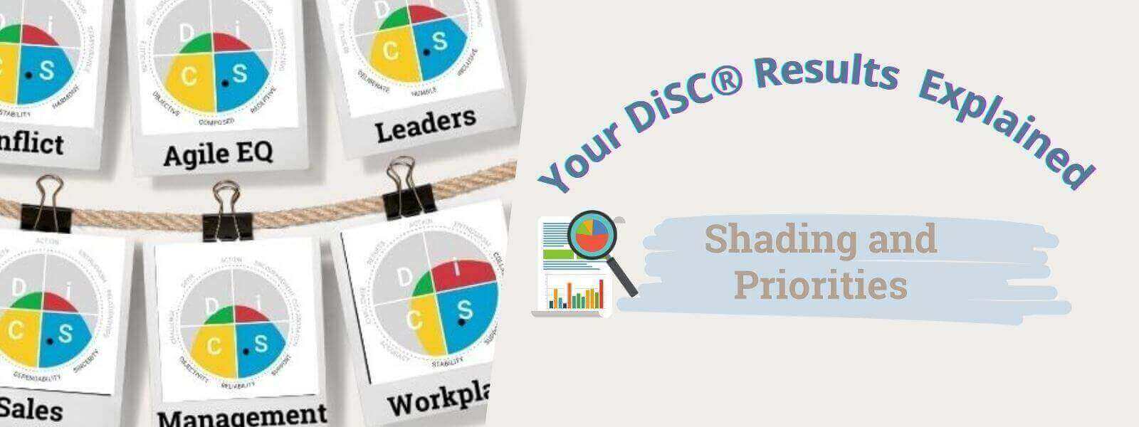 Your DiSC Results Explained: Shading and Priorities