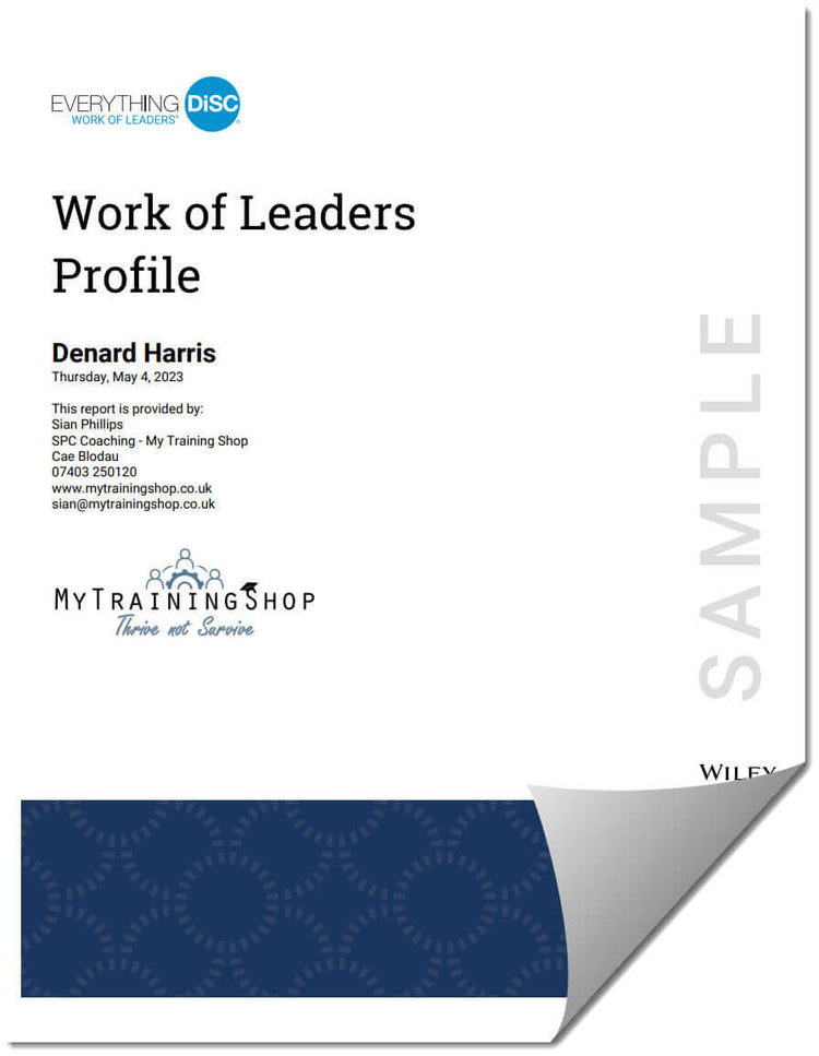 DiSC® Assessment Profiles Workplace